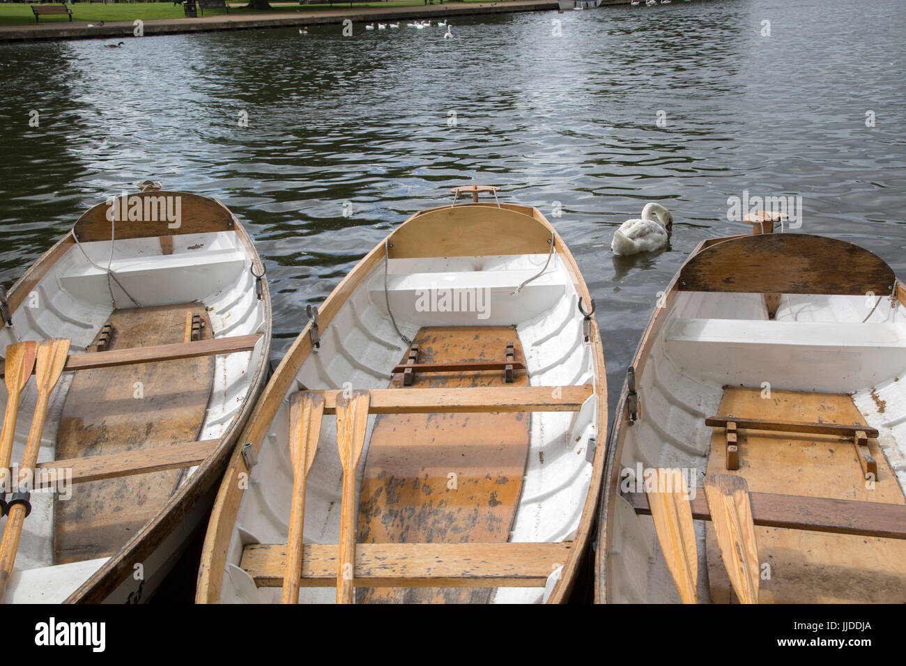 Rowing Boat on River, Stratford Upon Avon, England, UK Stock Photo - Alamy