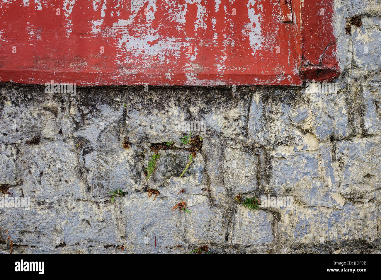 Stone wall at an ancient palace in Mahebourg, Mauritius Stock Photo - Alamy