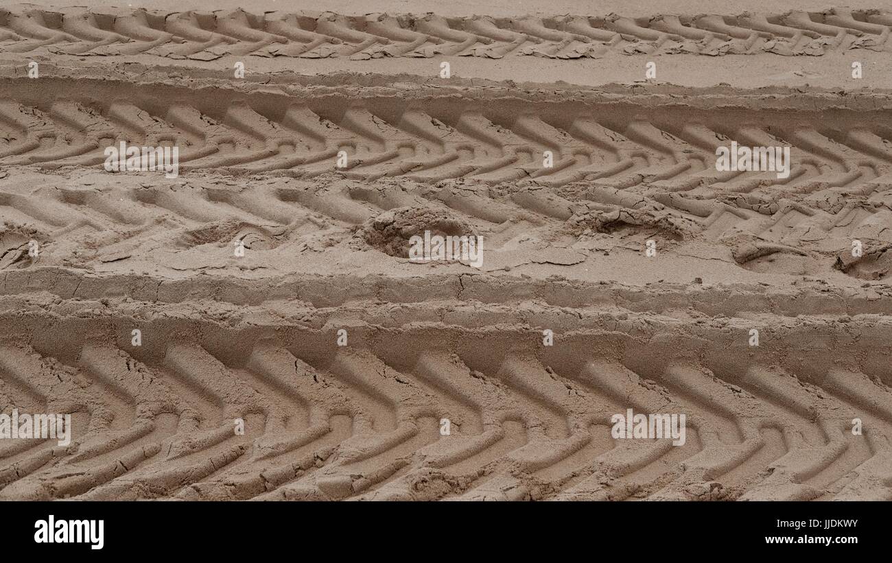 Bulldozer Tire Tracks In the Sand on Beach Pattaya Thailand Gulf of ...