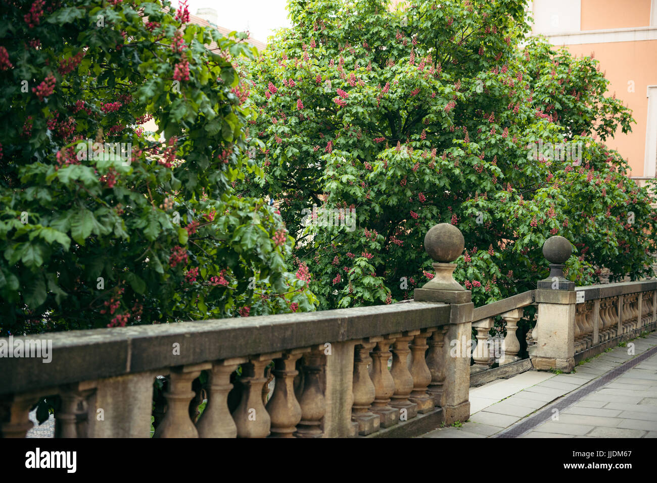 Castle behind the bushes hi-res stock photography and images - Alamy