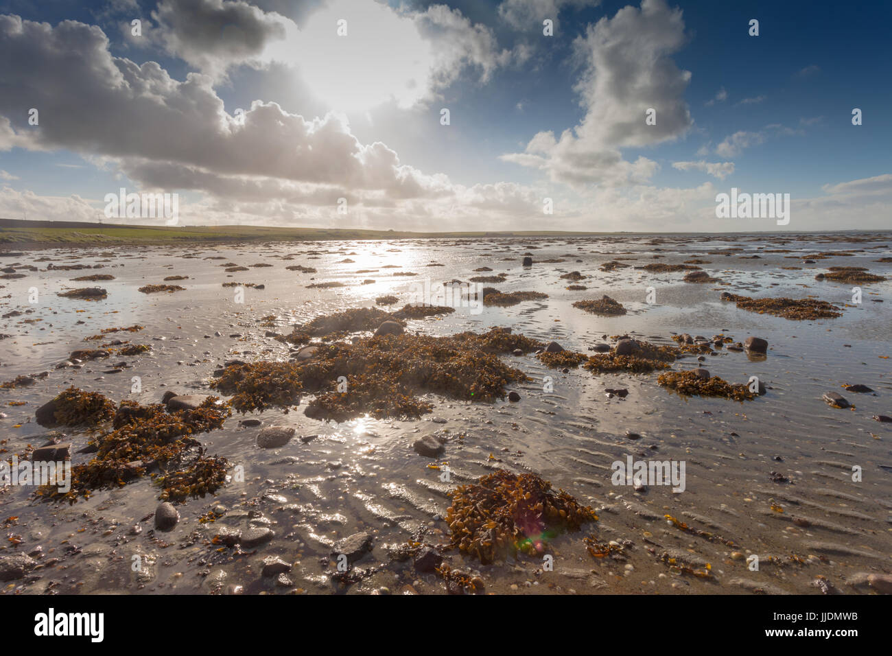 Seaside geology hi-res stock photography and images - Alamy