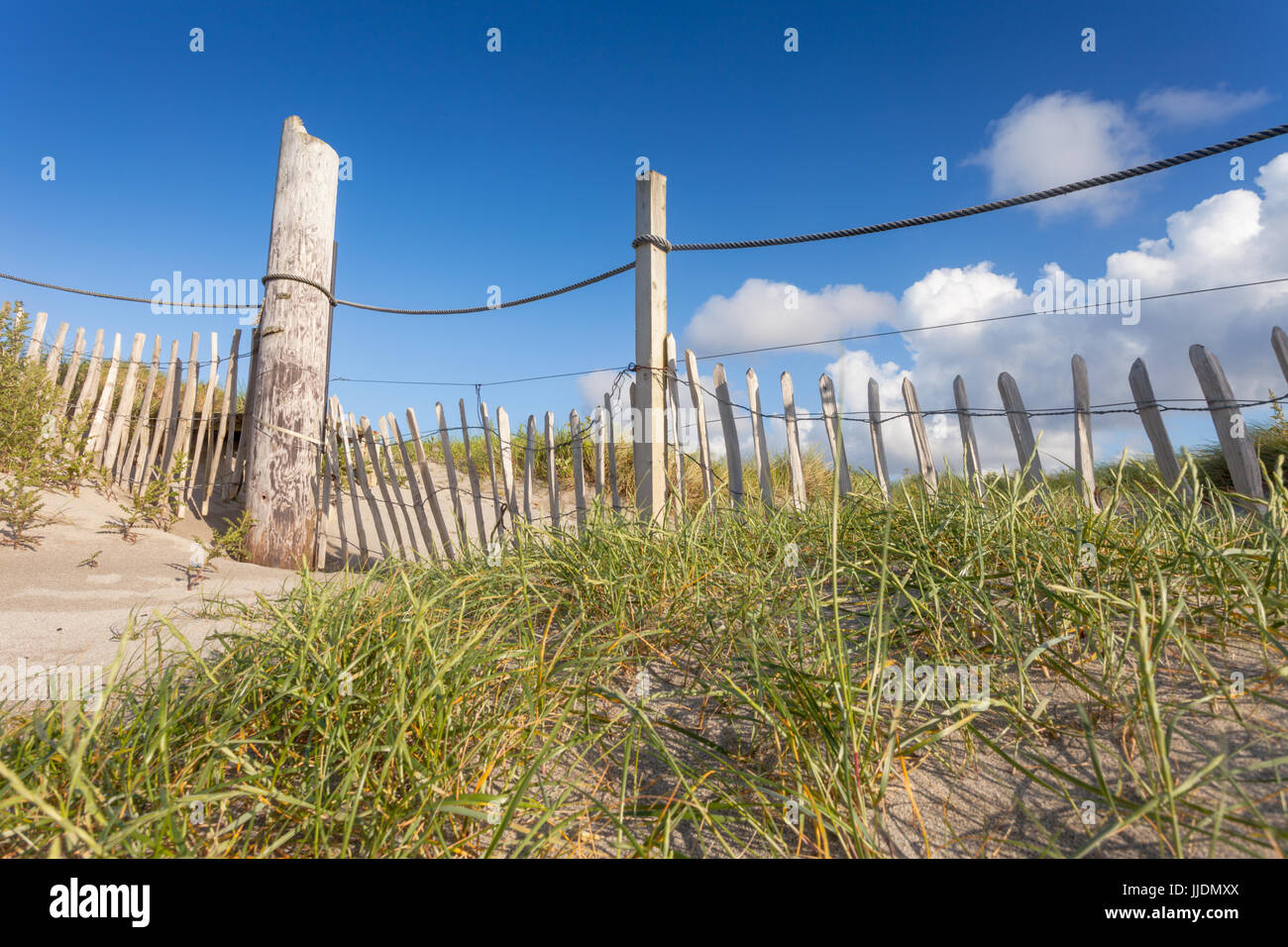 Seaside sandy beach with grass and wooden fence Stock Photo - Alamy