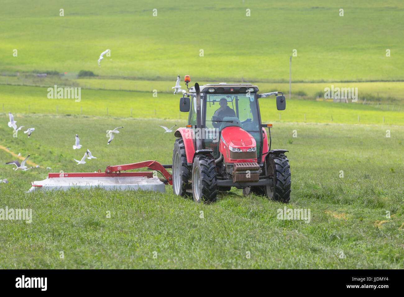 Farmer and tractor harvesting grass in a field Stock Photo - Alamy