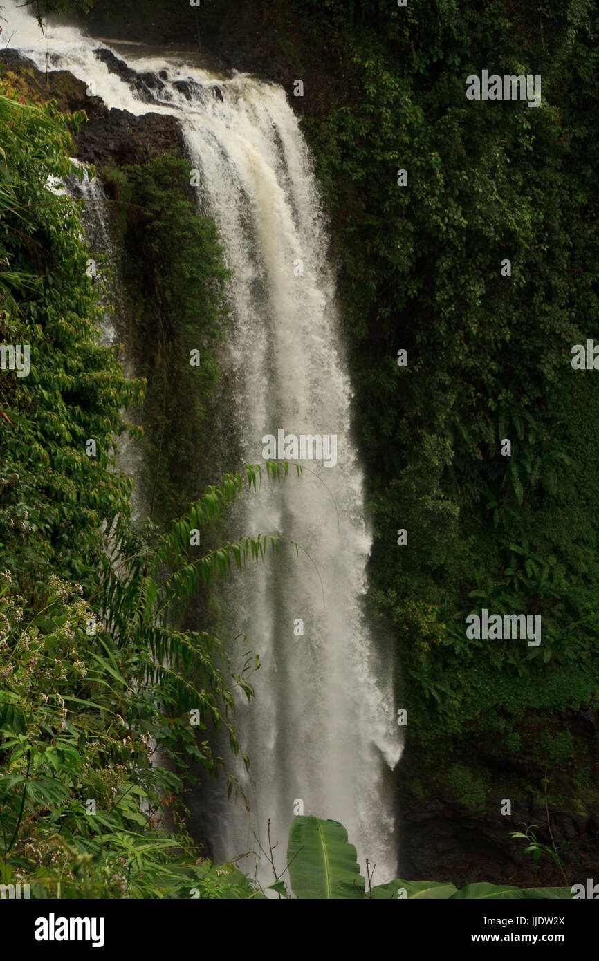 Landscape of Tad Fan waterfall Stock Photo - Alamy
