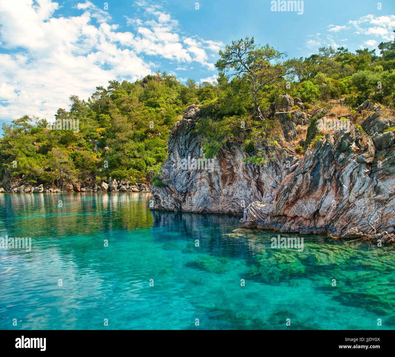 transparent turquoise lagoon water and rocky tree and plant covered ...