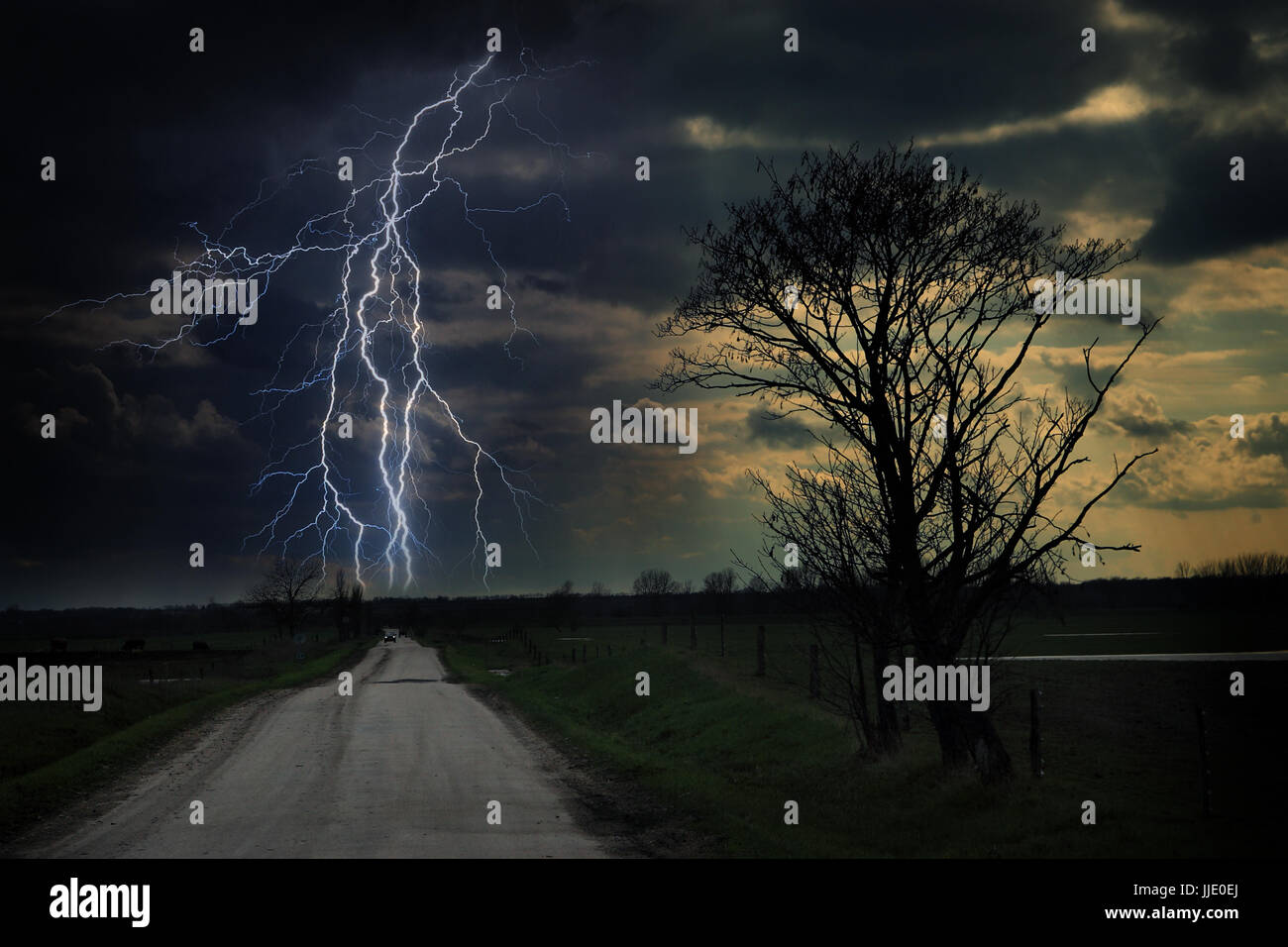 Storm Force Stock Photos & Storm Force Stock Images - Alamy