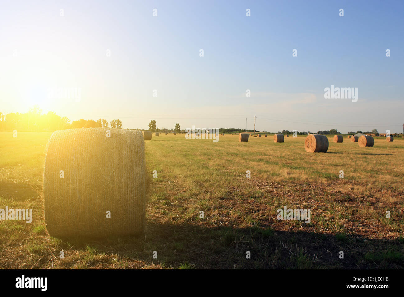 Haystack at summer farmland Stock Photo - Alamy