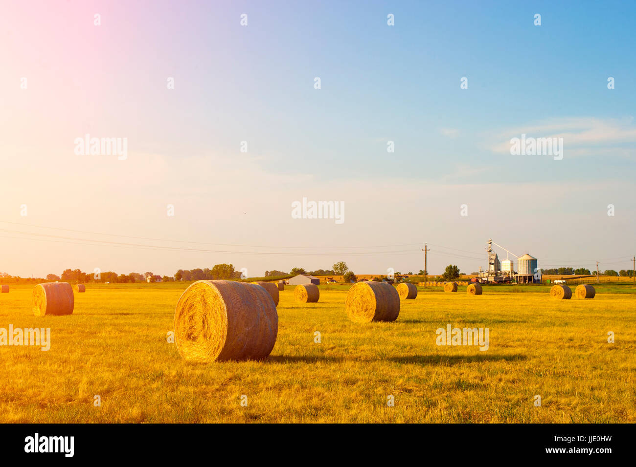 Summer on farm ranch hi-res stock photography and images - Alamy