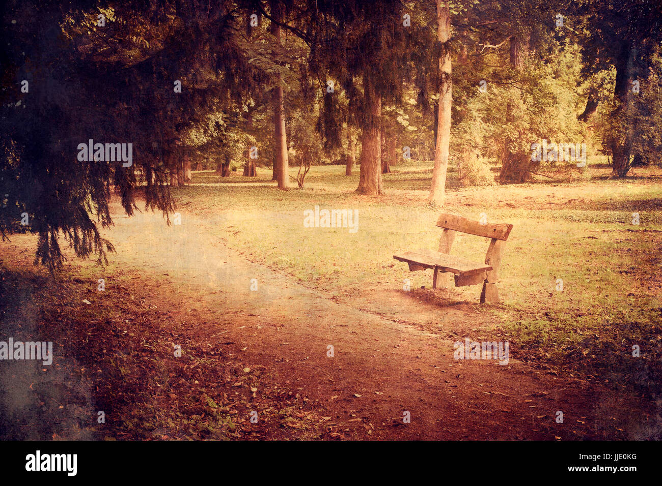 Lonely bench in park Stock Photo - Alamy
