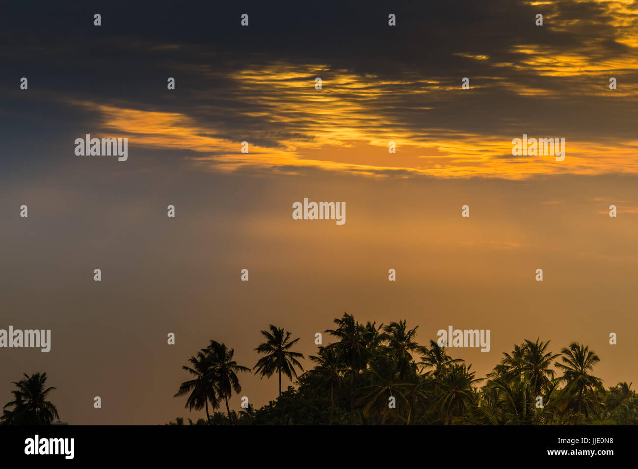 Sunrise with yellow shade Stock Photo - Alamy