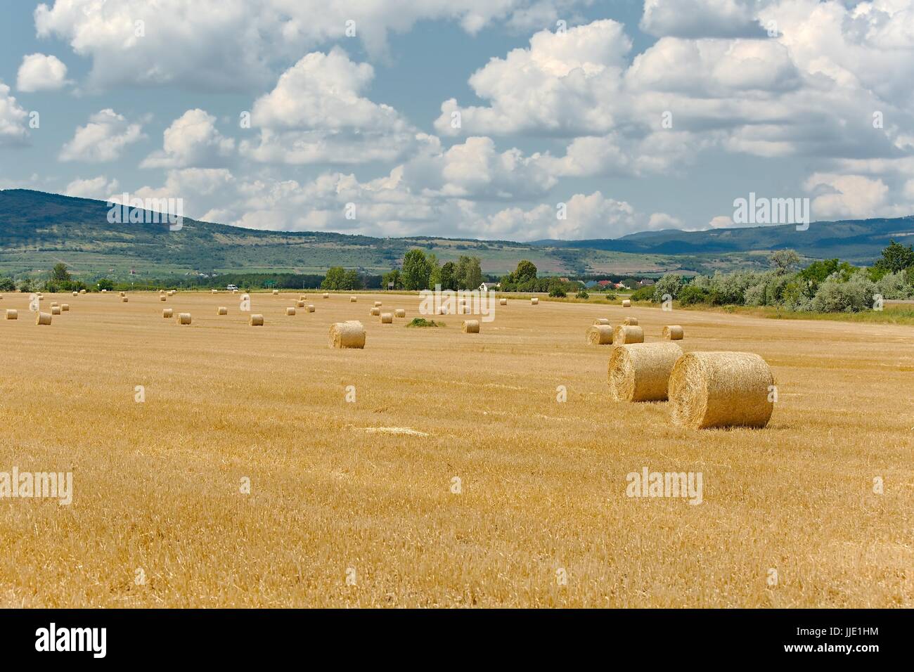 Dry rural field with hay stacks Stock Photo - Alamy
