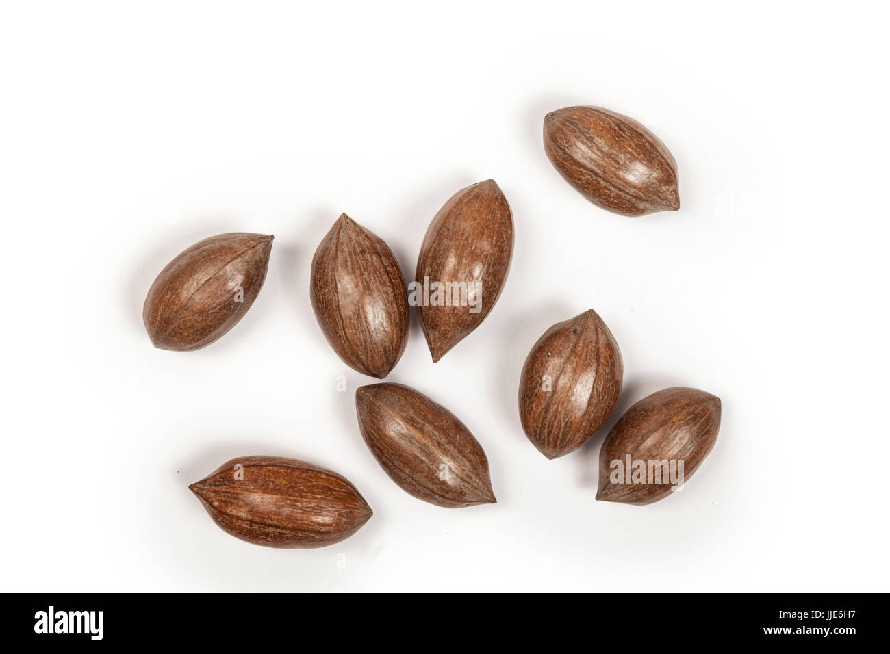 Pecan nuts isolated Stock Photo - Alamy