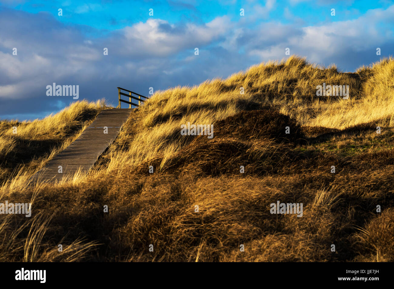 Amrum germany boardwalk amrum hi-res stock photography and images - Alamy