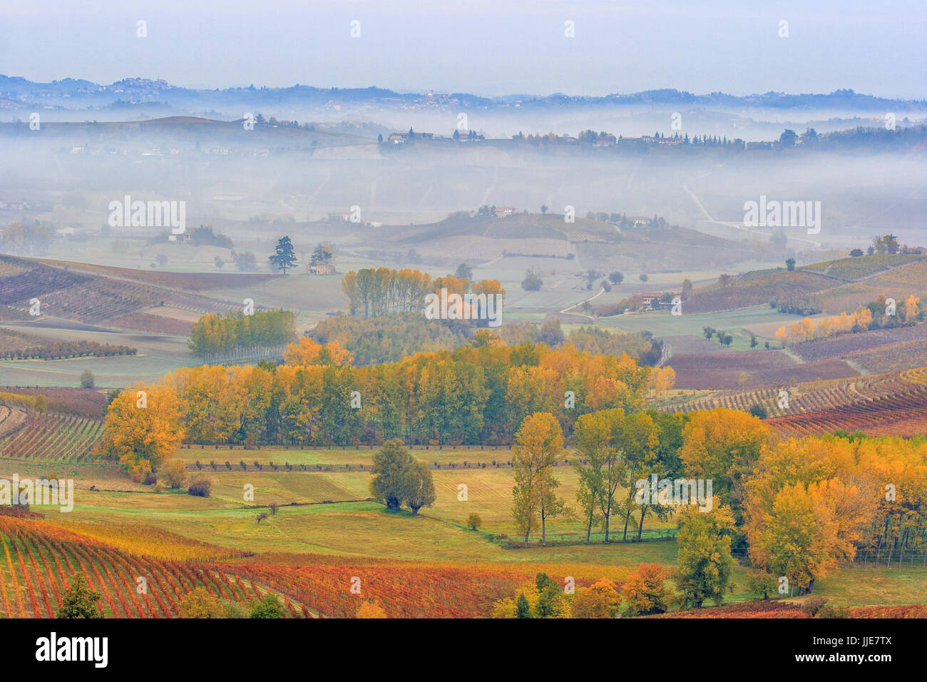 Canelli hi-res stock photography and images - Alamy