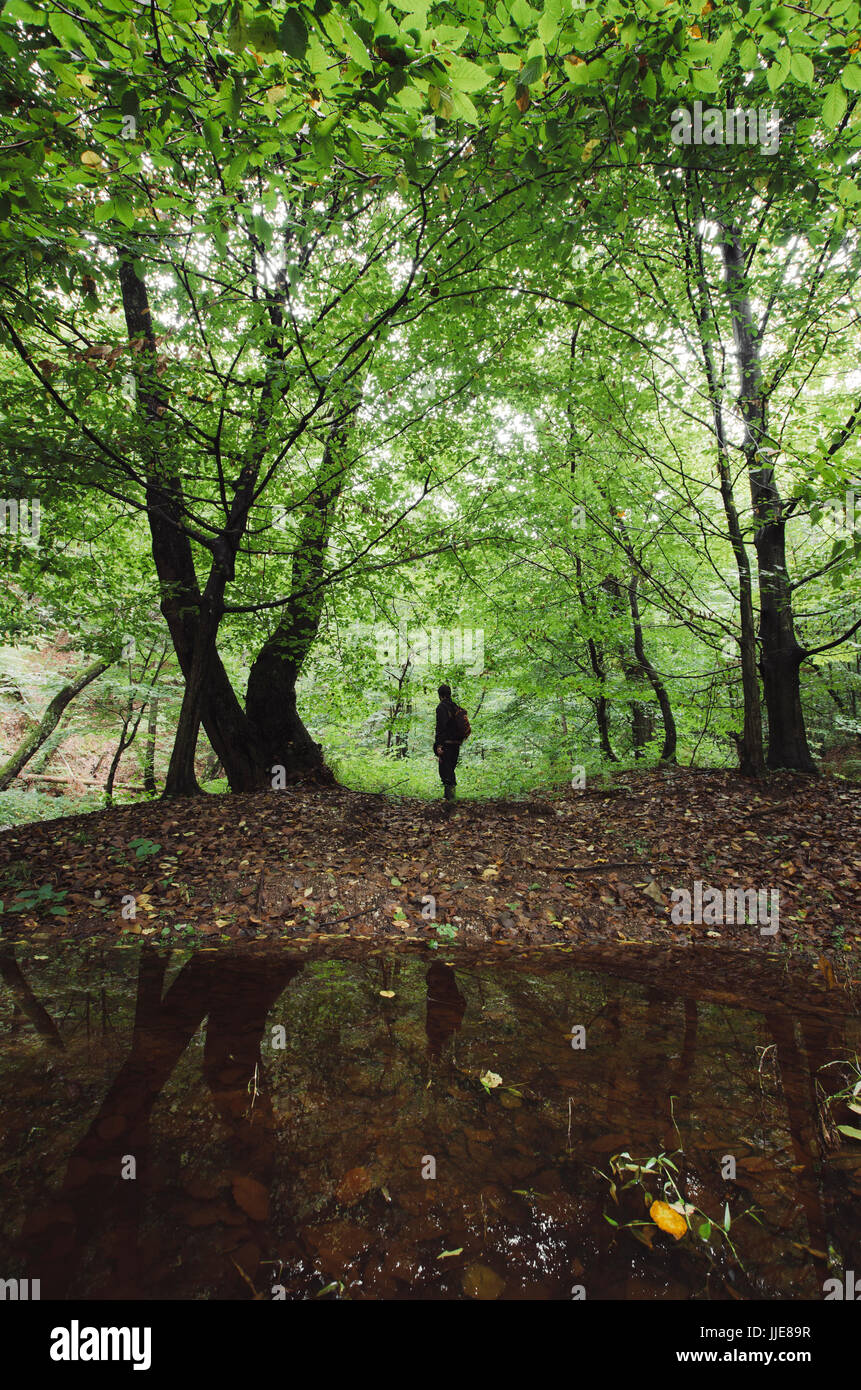 Froest and man reflecting in water natural green woods landscape Stock ...