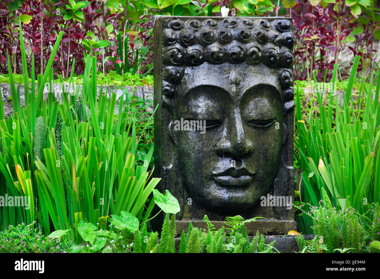 Buddha meditation waterfall hi-res stock photography and images - Alamy