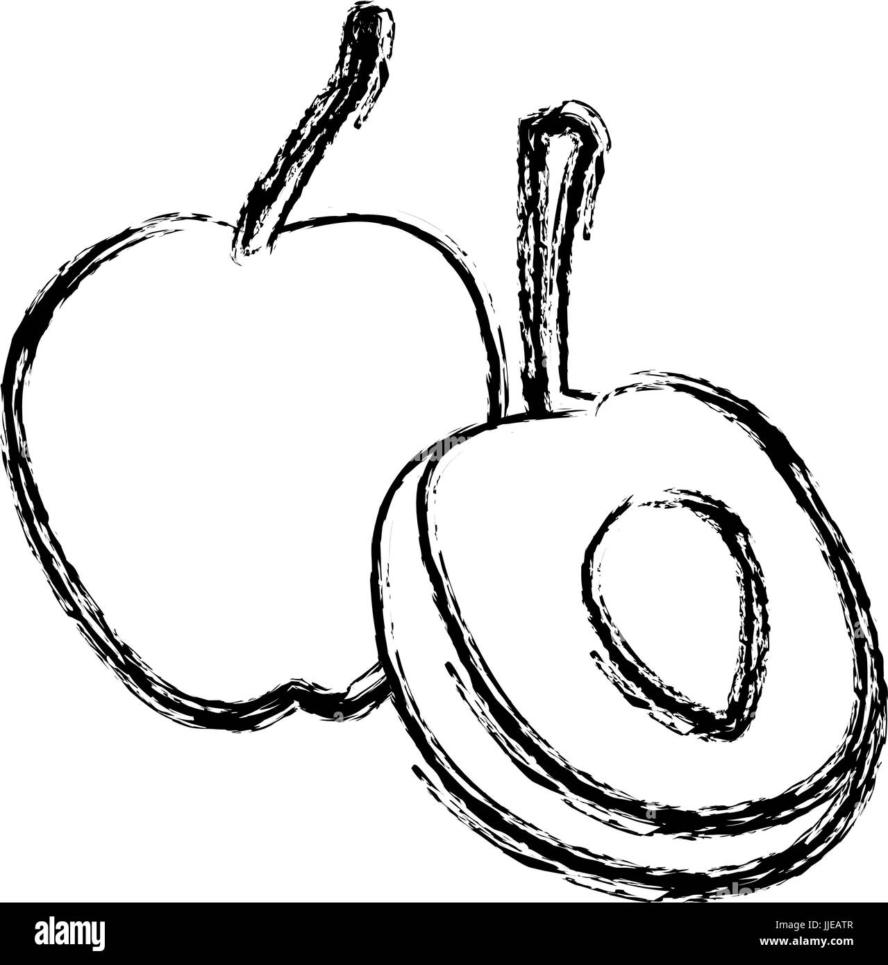 Apricot nut Black and White Stock Photos & Images - Alamy