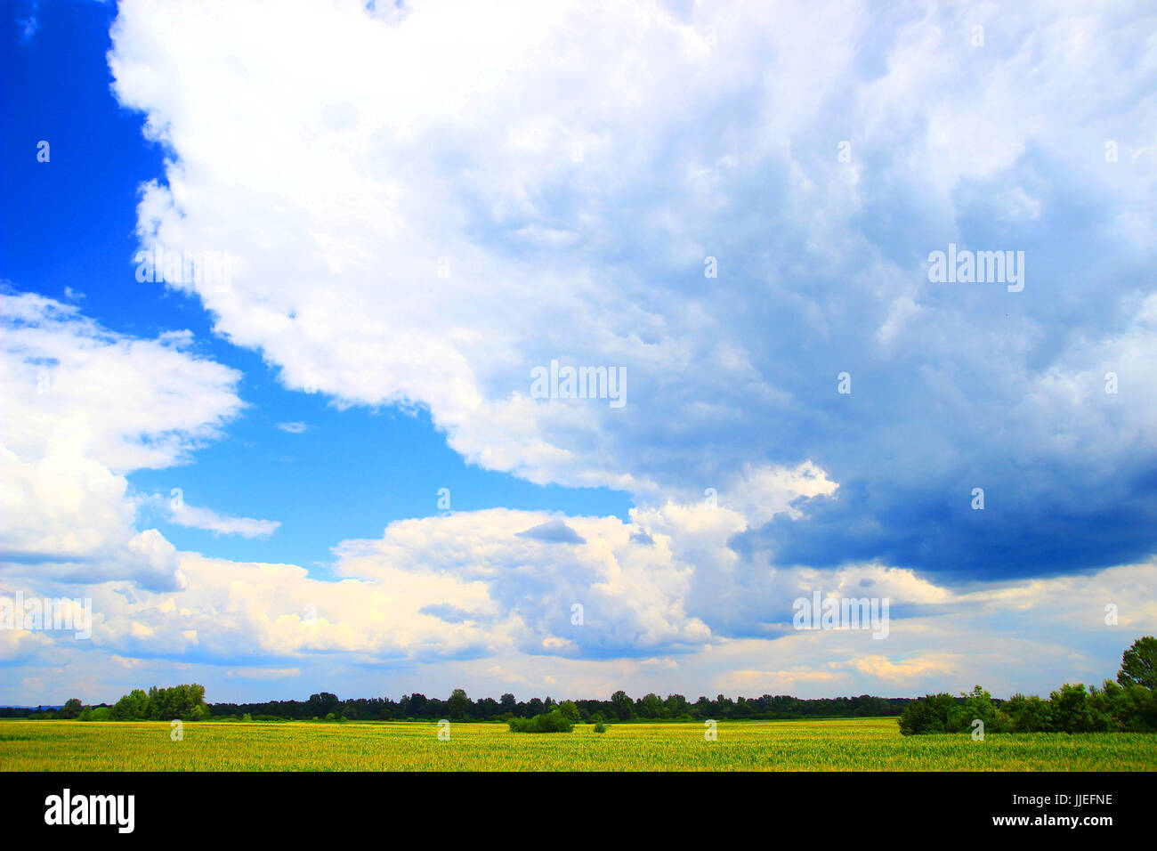 Big storm cloud over agriculture field Stock Photo - Alamy