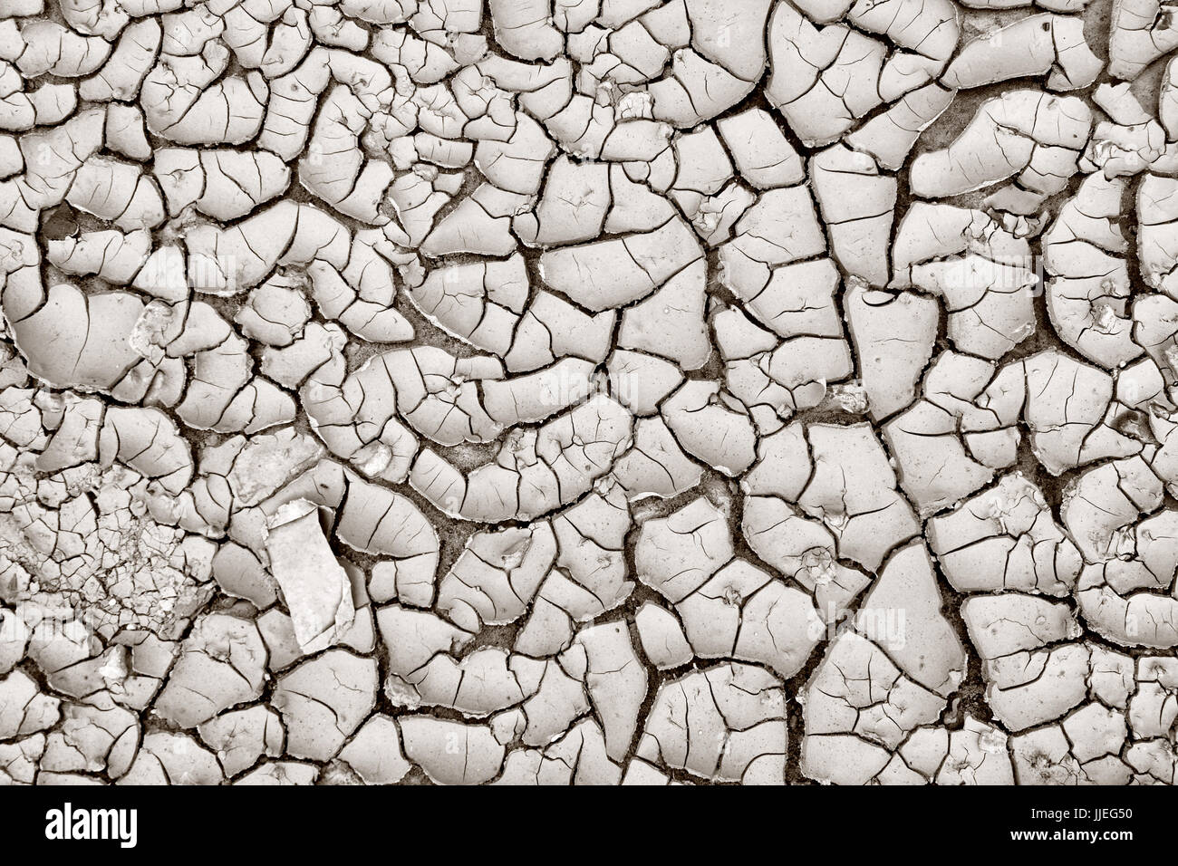 Cracked ground texture hi-res stock photography and images - Alamy