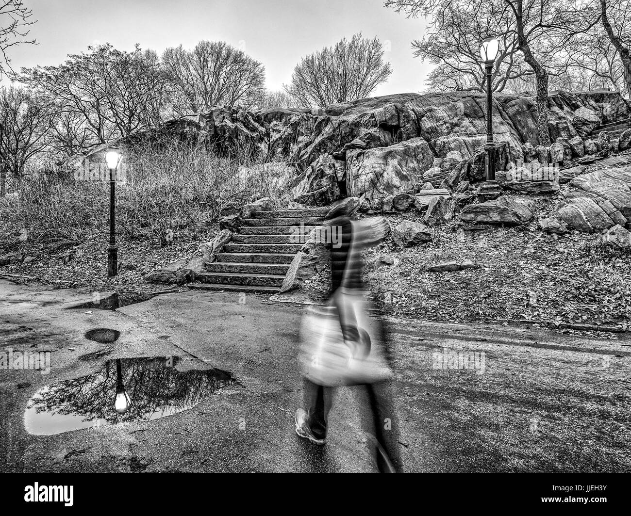 Central Park, New York City in winter with street land reflection in ...