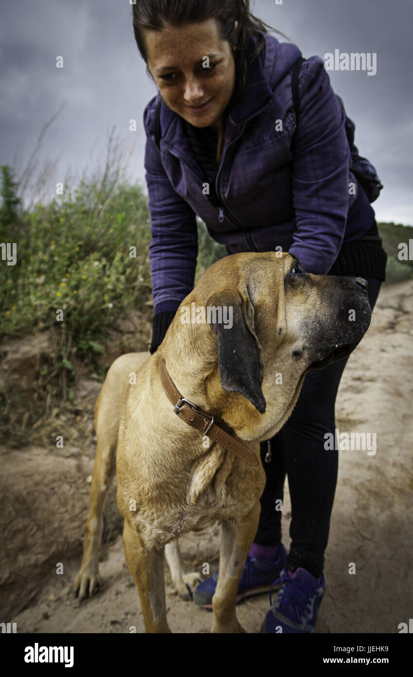 Young woman with hound dog in nature, detail of love and friendship ...