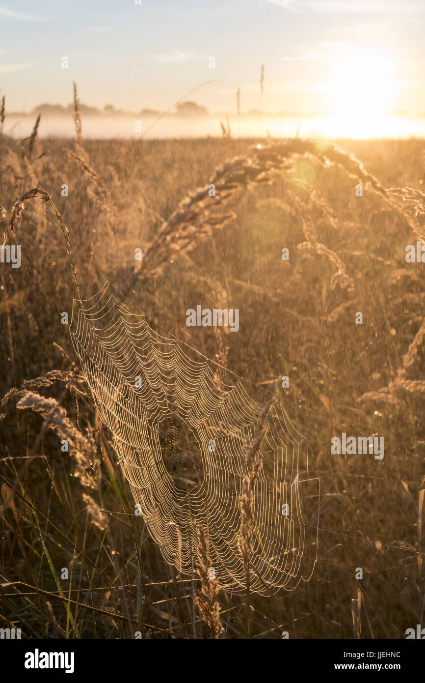 Structure structure structures networking vest europe weather hi-res ...