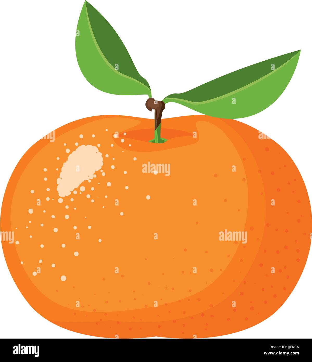 white background with realistic tangerine fruit Stock Vector Image ...