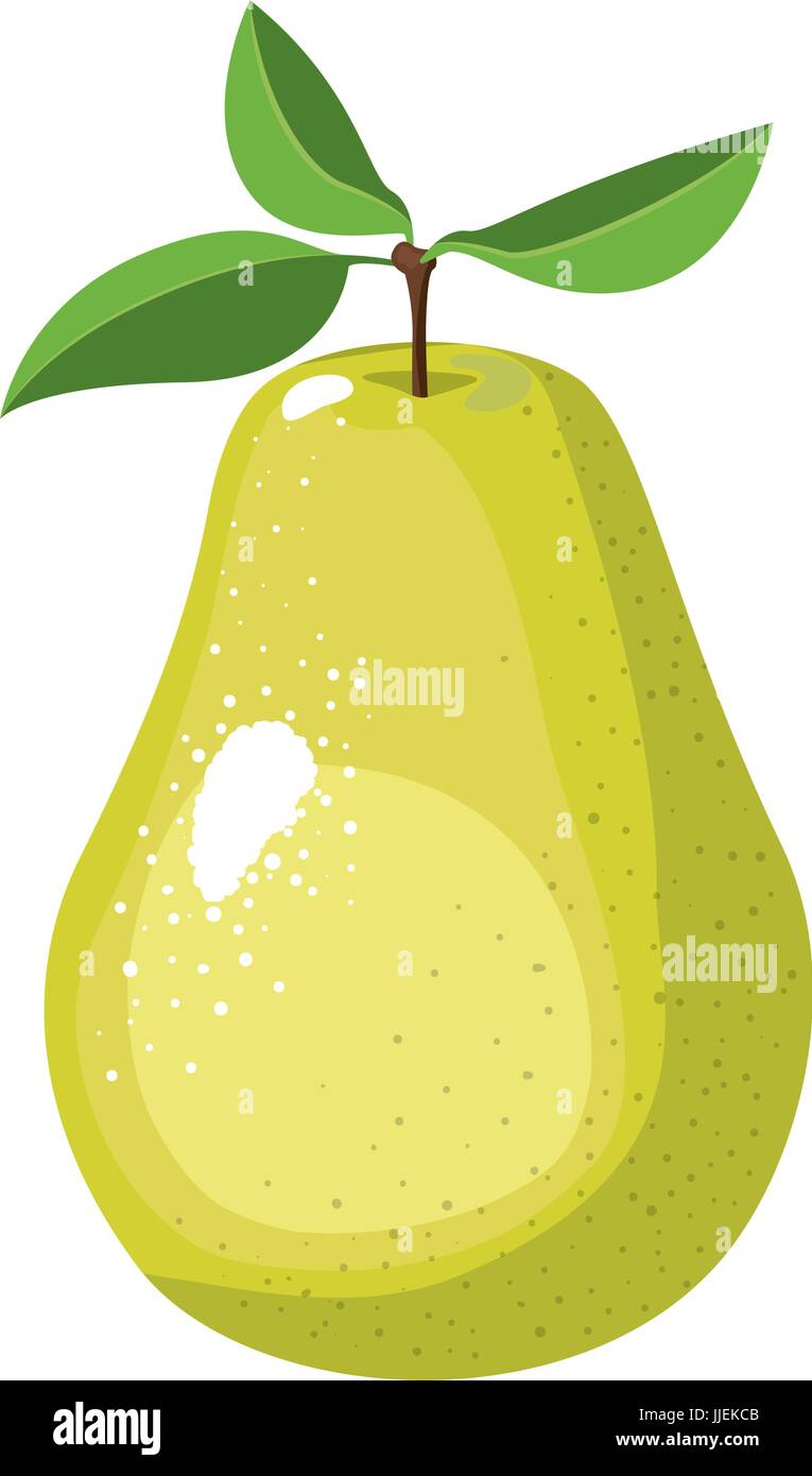 white background with realistic pear fruit Stock Vector Image & Art - Alamy