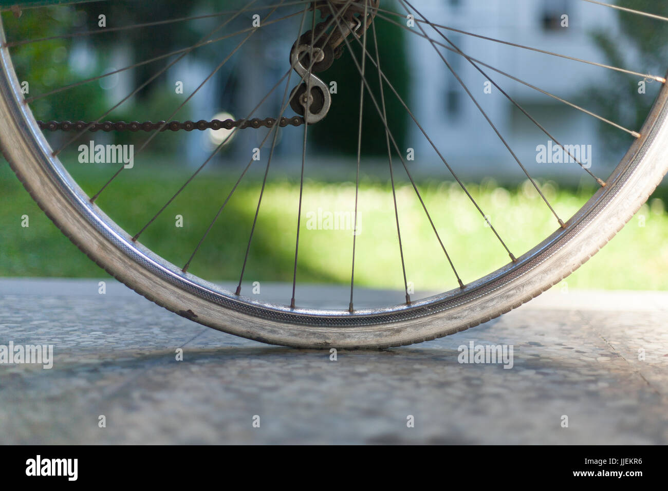Bicycle half wheel on old dark green Italian woman bike with light ...