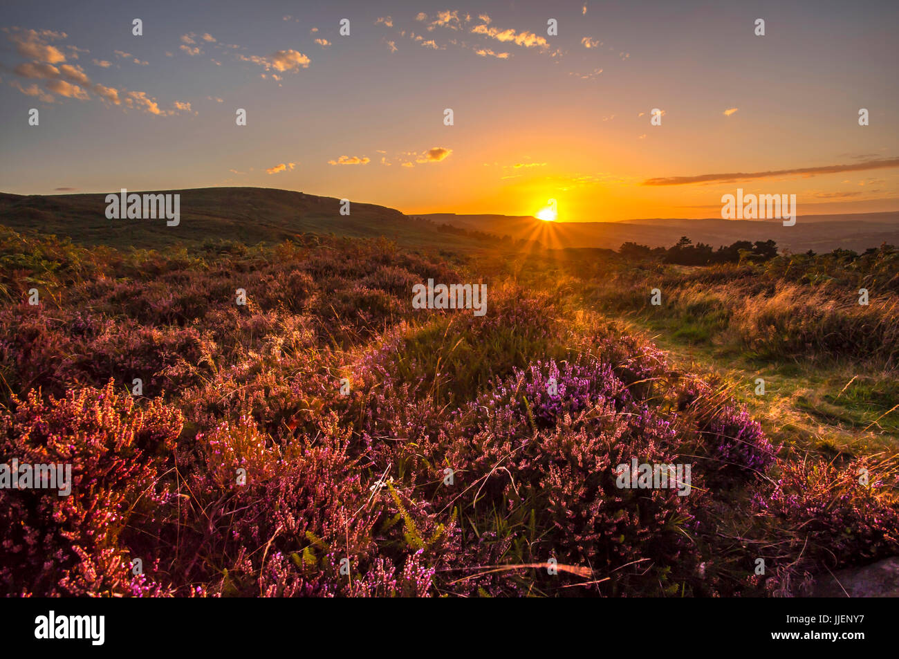 Ilkley Moor Heather Sunset Stock Photo - Alamy