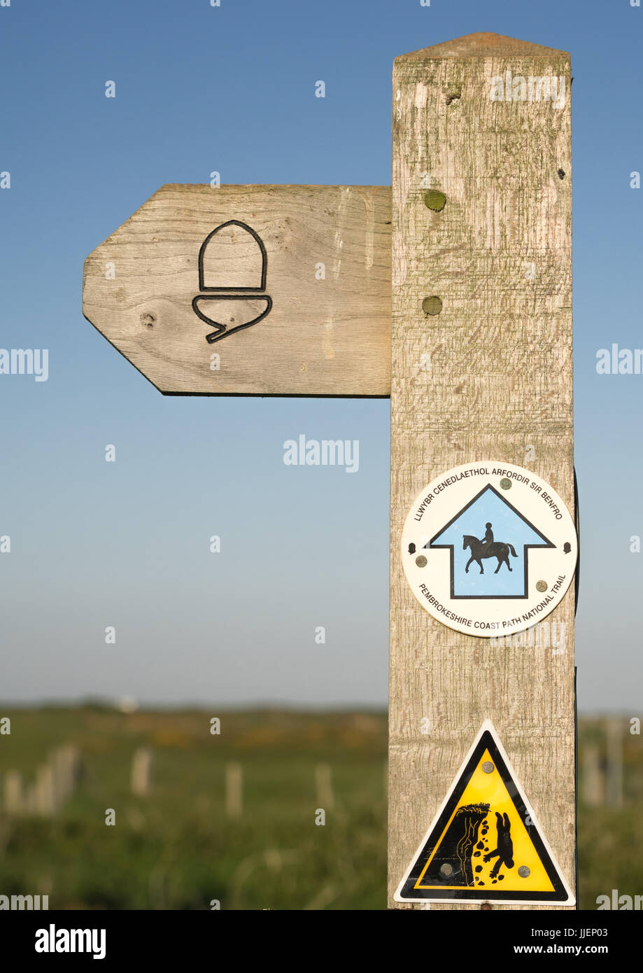 Wooden footpath direction signpost, Pembrokeshire, United Kingdom Stock ...
