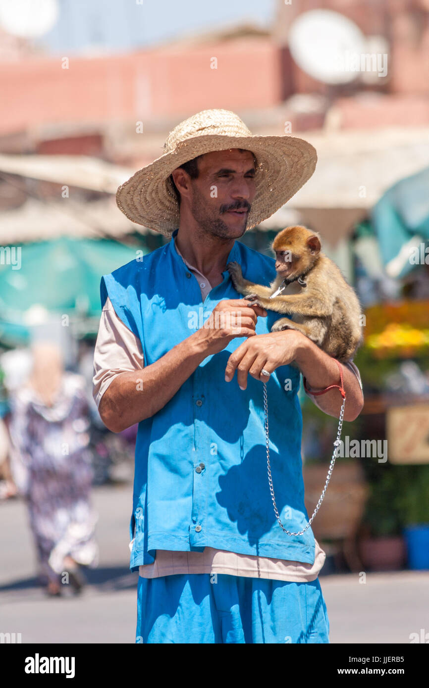 Man ape monkey hi-res stock photography and images - Alamy