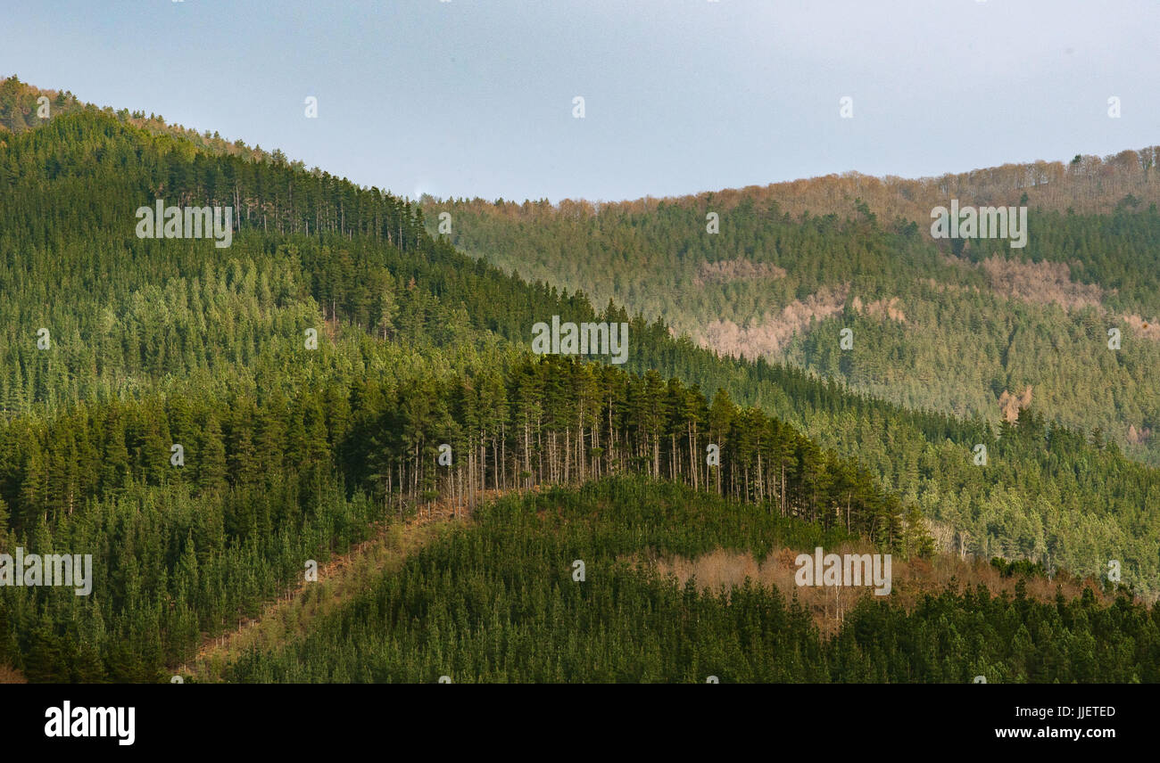 Views of Aranzazu valley Stock Photo - Alamy