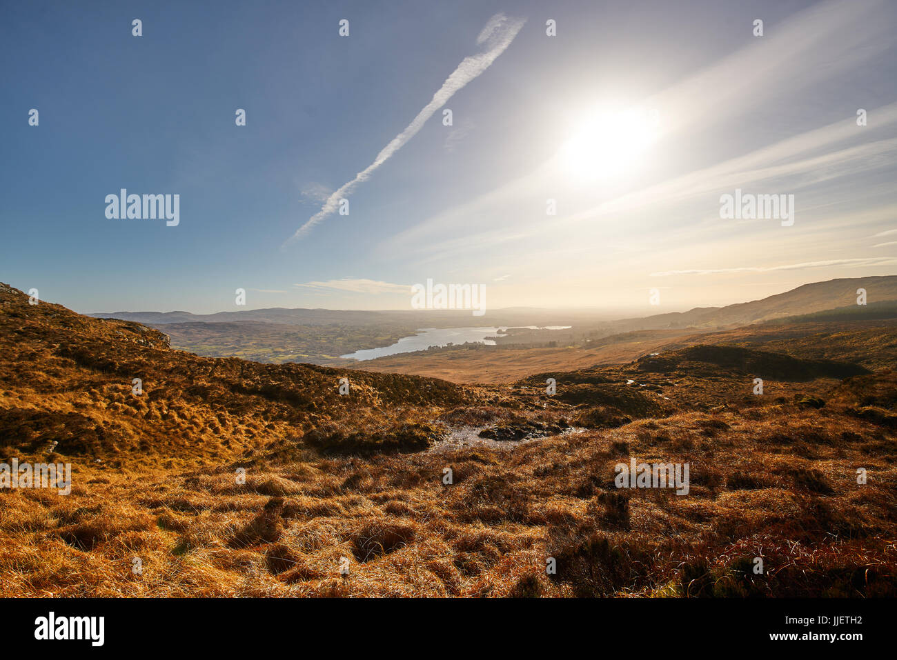 Sheep grazing on the green meadows and hills of Donegal Ireland with ...