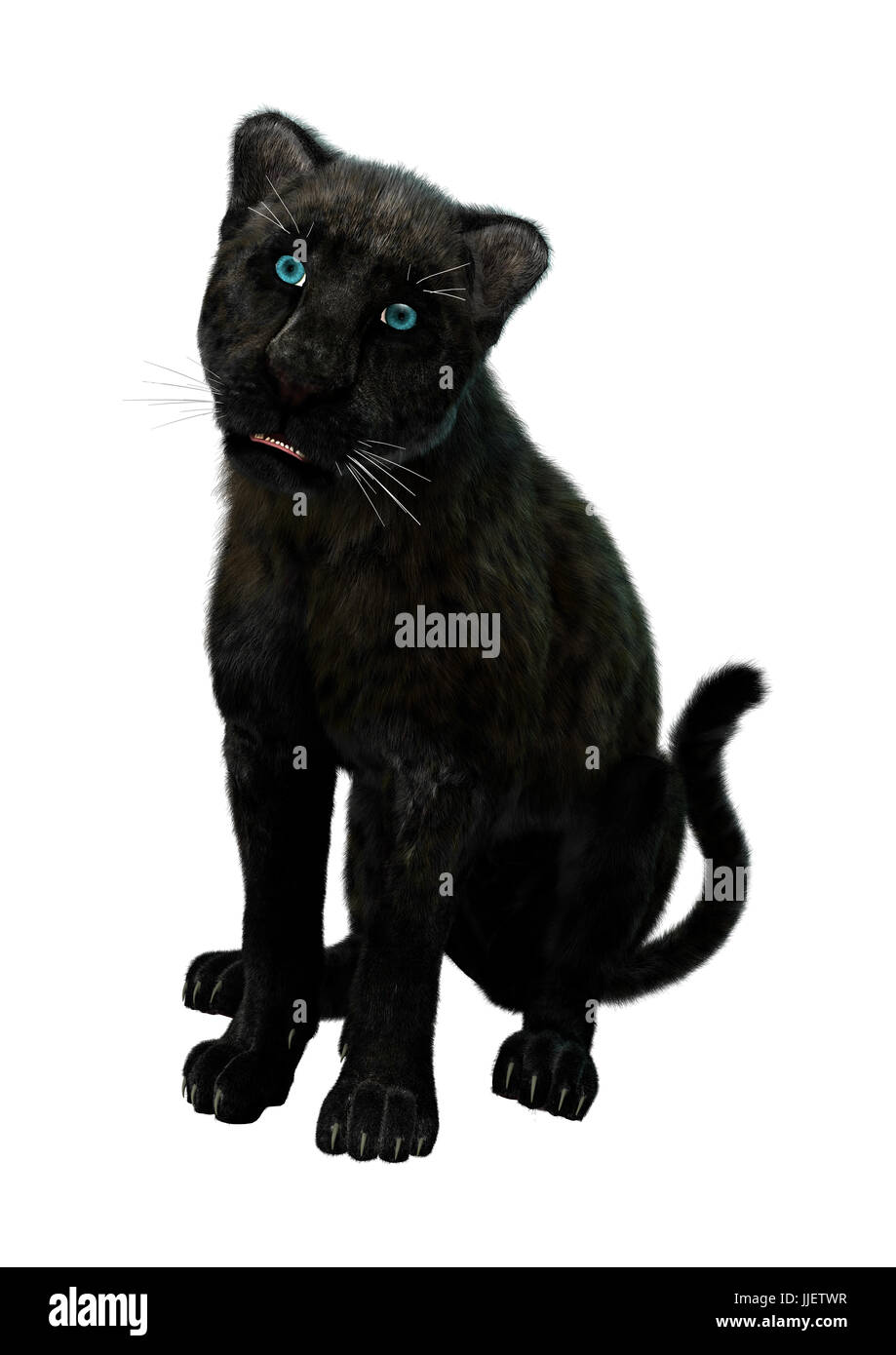 3D rendering of a black panther isolated on white background Stock ...