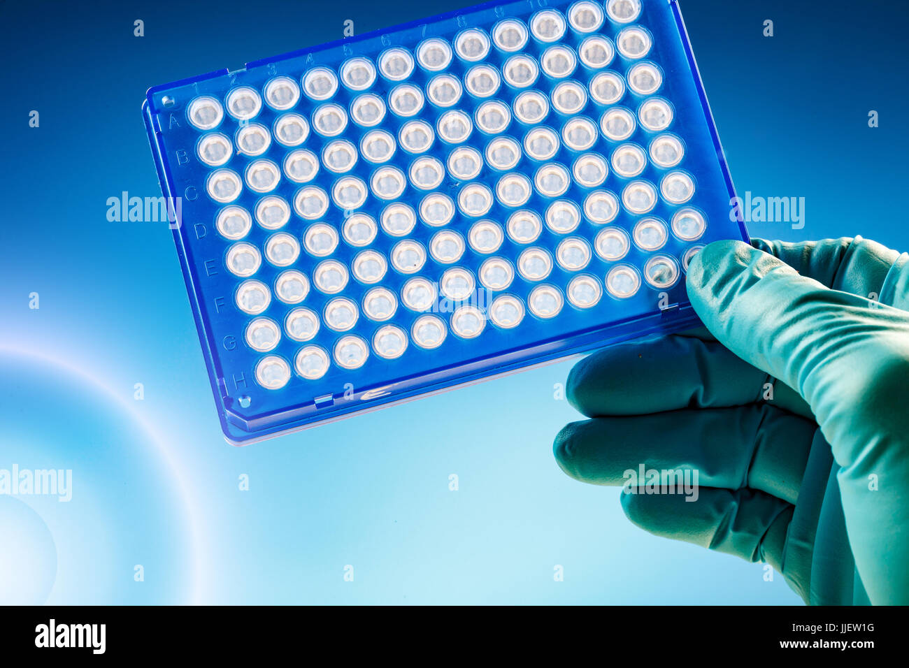 Scientist in laboratory holding a 96 well plate for PCR analysis and ...