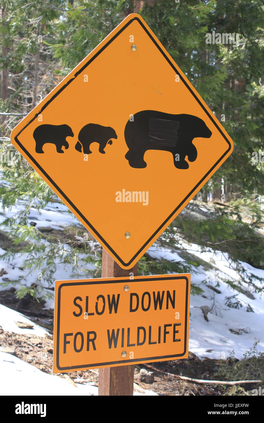 Bears crossing road sign hi-res stock photography and images - Alamy