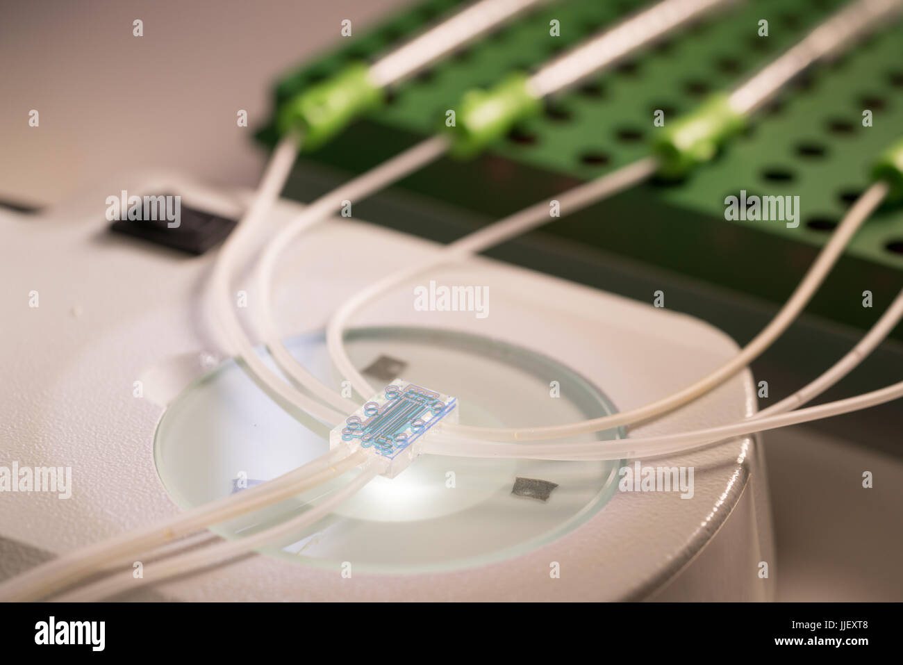 lab on chip device in microbiological laboratory Stock Photo - Alamy