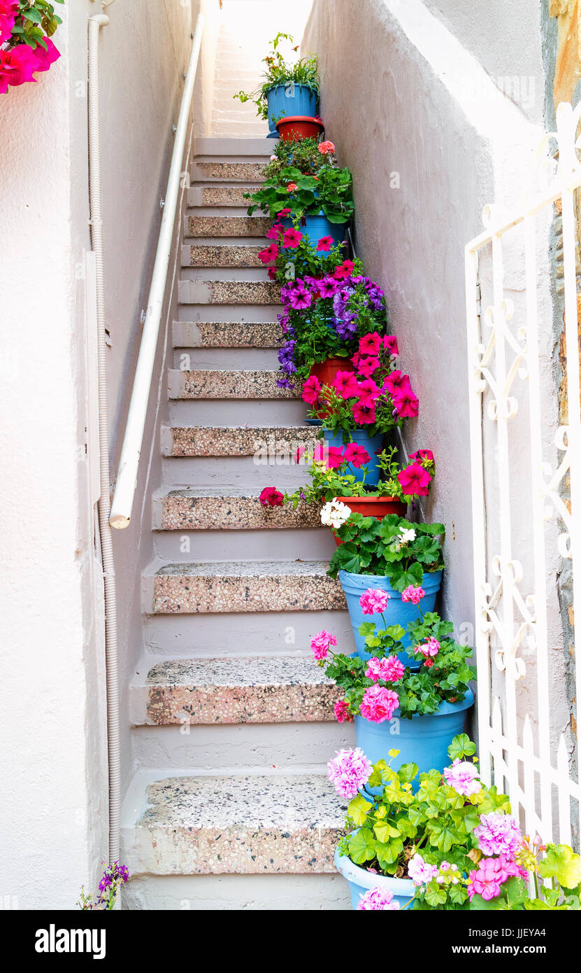 Beautiful Stairs With Flower Stock Photo - Alamy