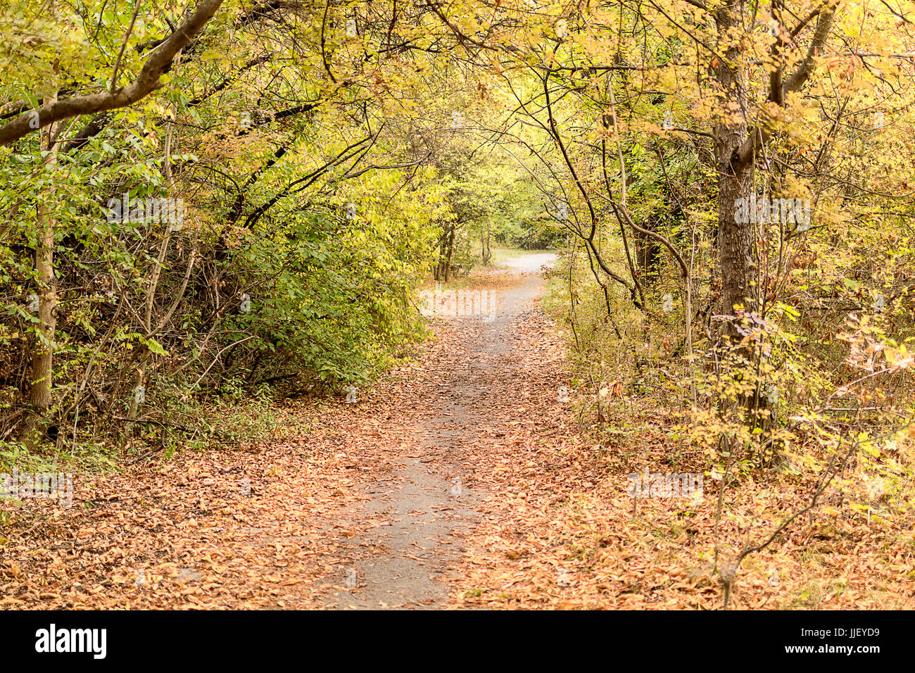 Pat park hi-res stock photography and images - Alamy