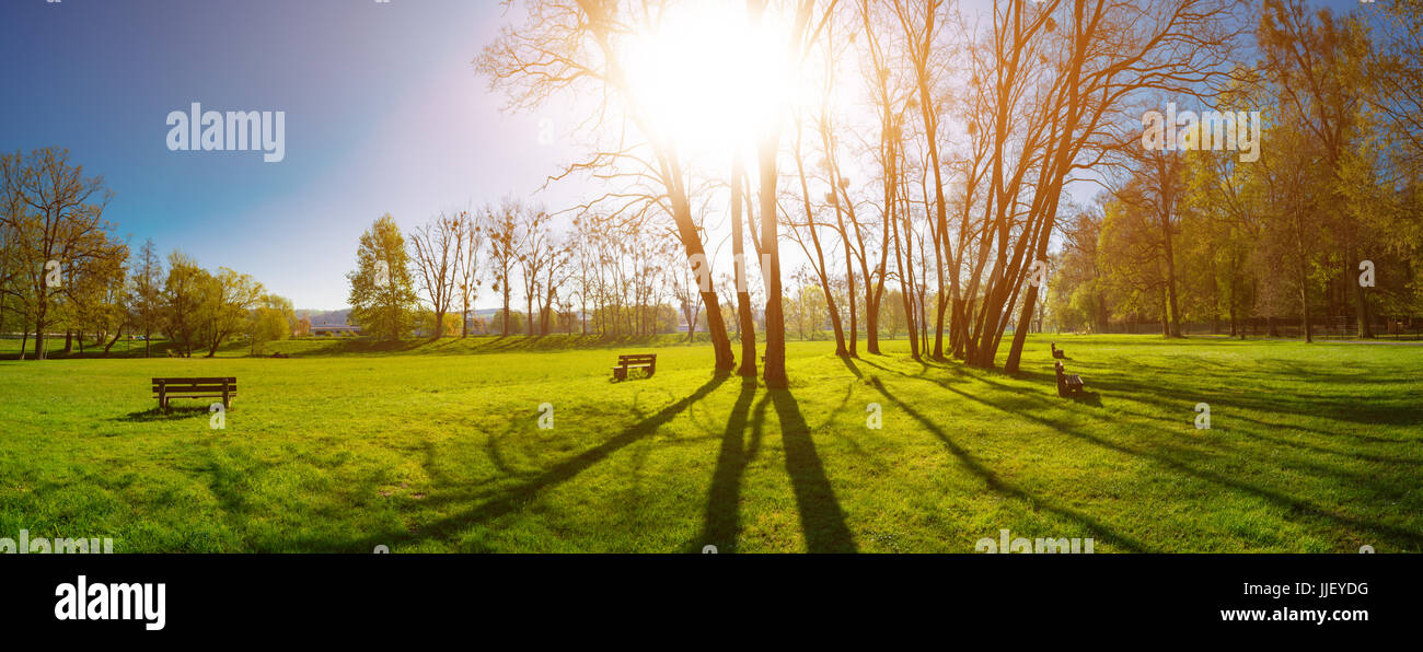 Tree shadow on pathway hi-res stock photography and images - Alamy