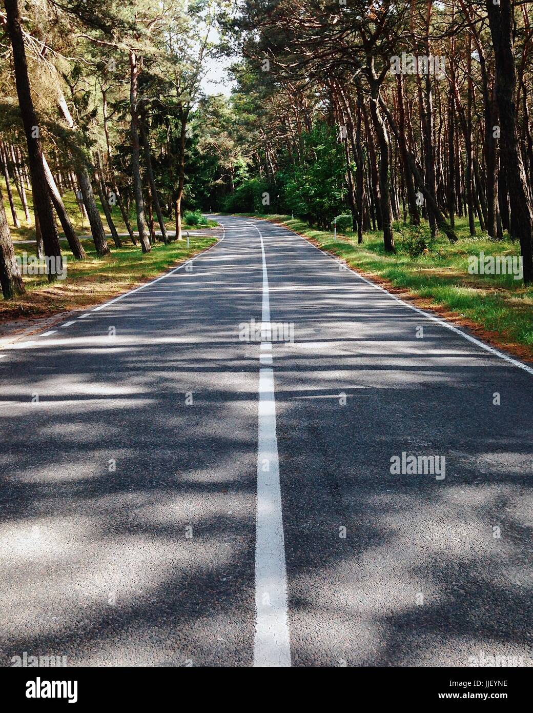 Road in wood nida hi-res stock photography and images - Alamy
