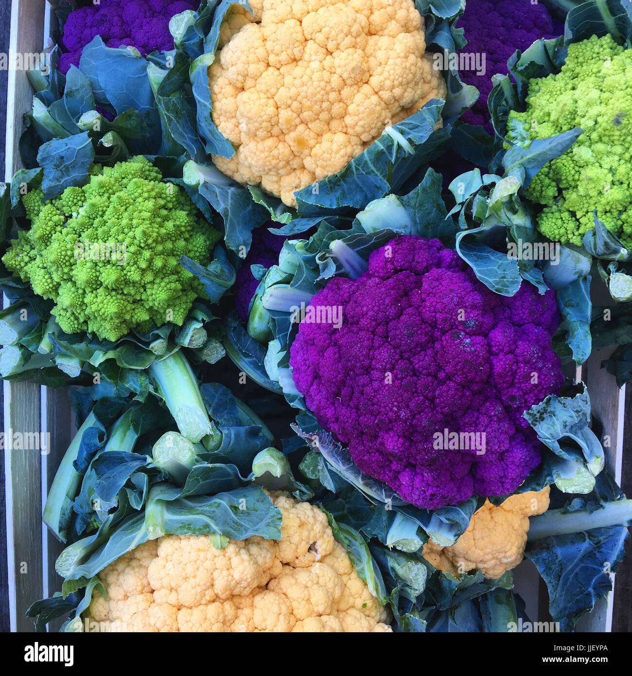 Multi colored cauliflower hi-res stock photography and images - Alamy