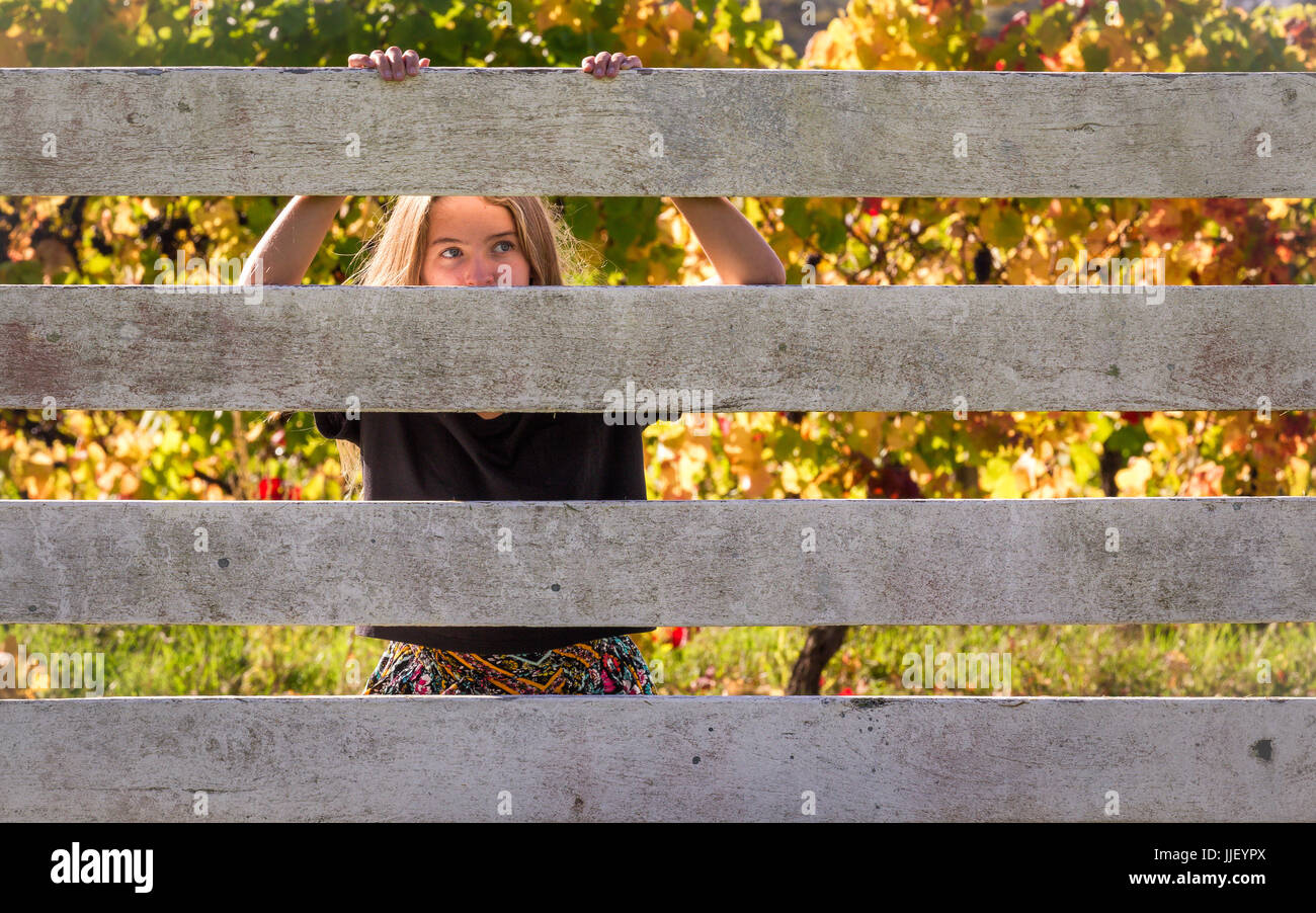 Girl hiding behind a fence Stock Photo - Alamy