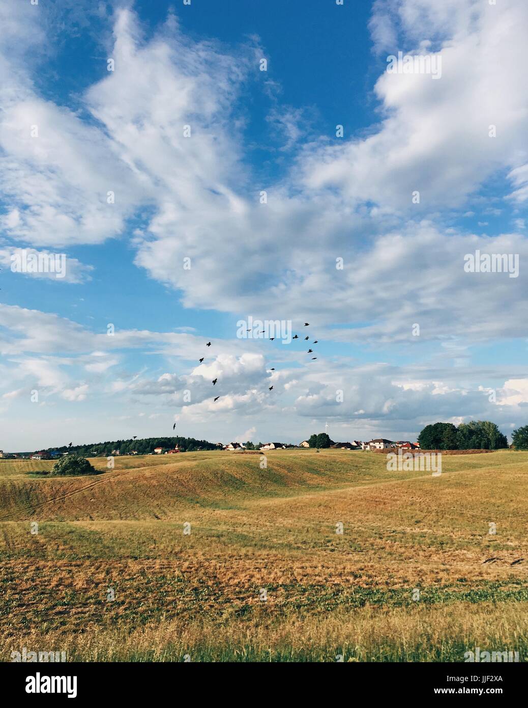 Rural landscape, Minsk, Belarus Stock Photo - Alamy