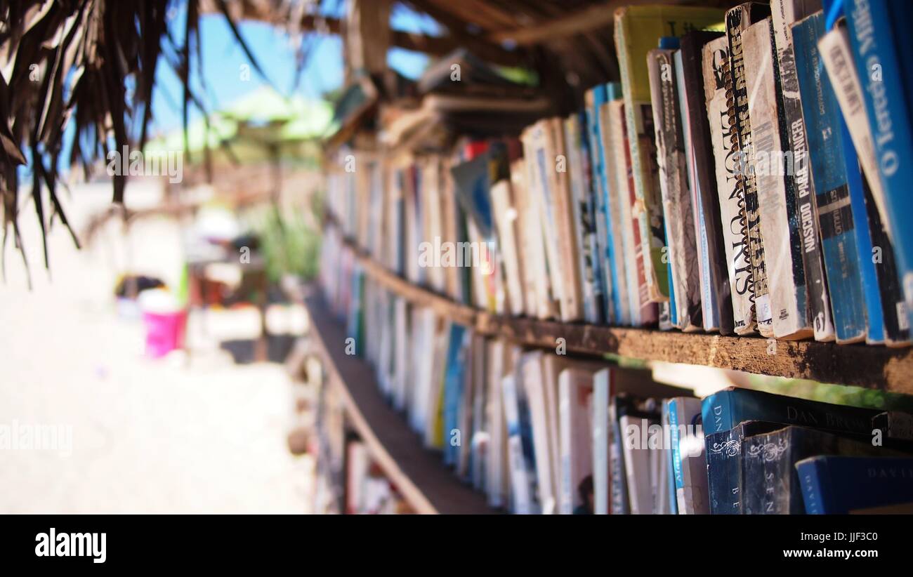 Library on the Beach Stock Photo - Alamy
