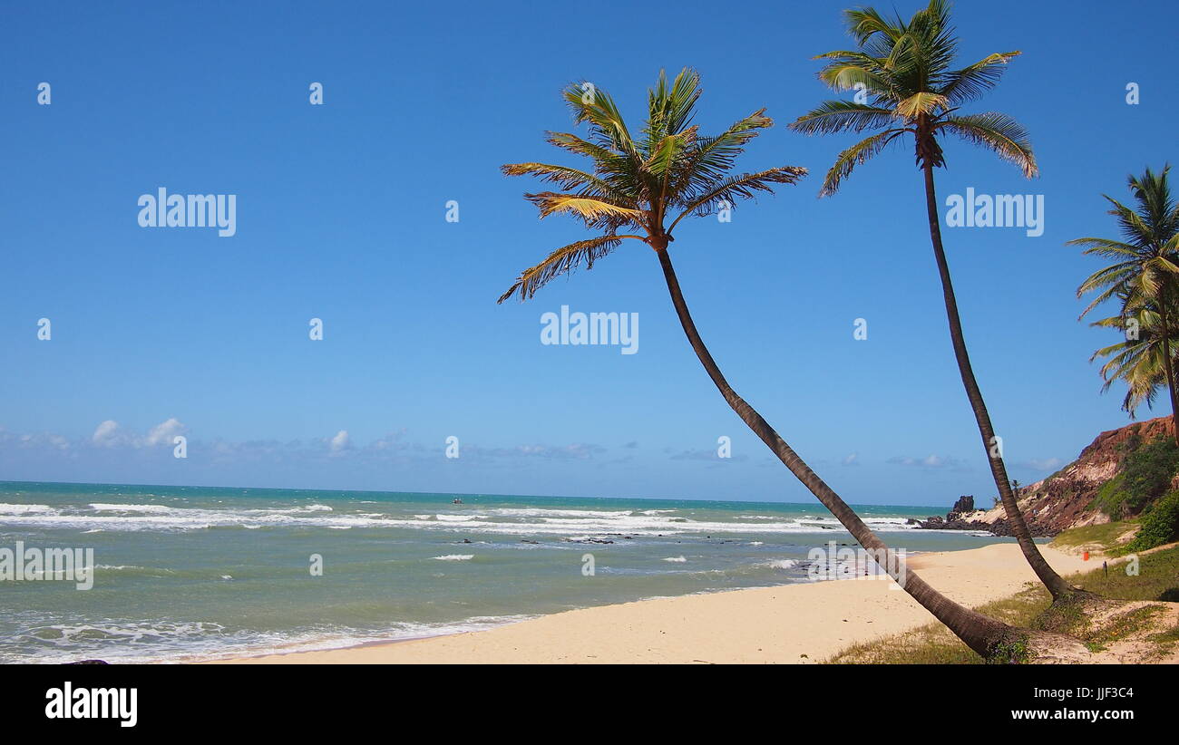 Deserted Tropical Beach Stock Photo - Alamy