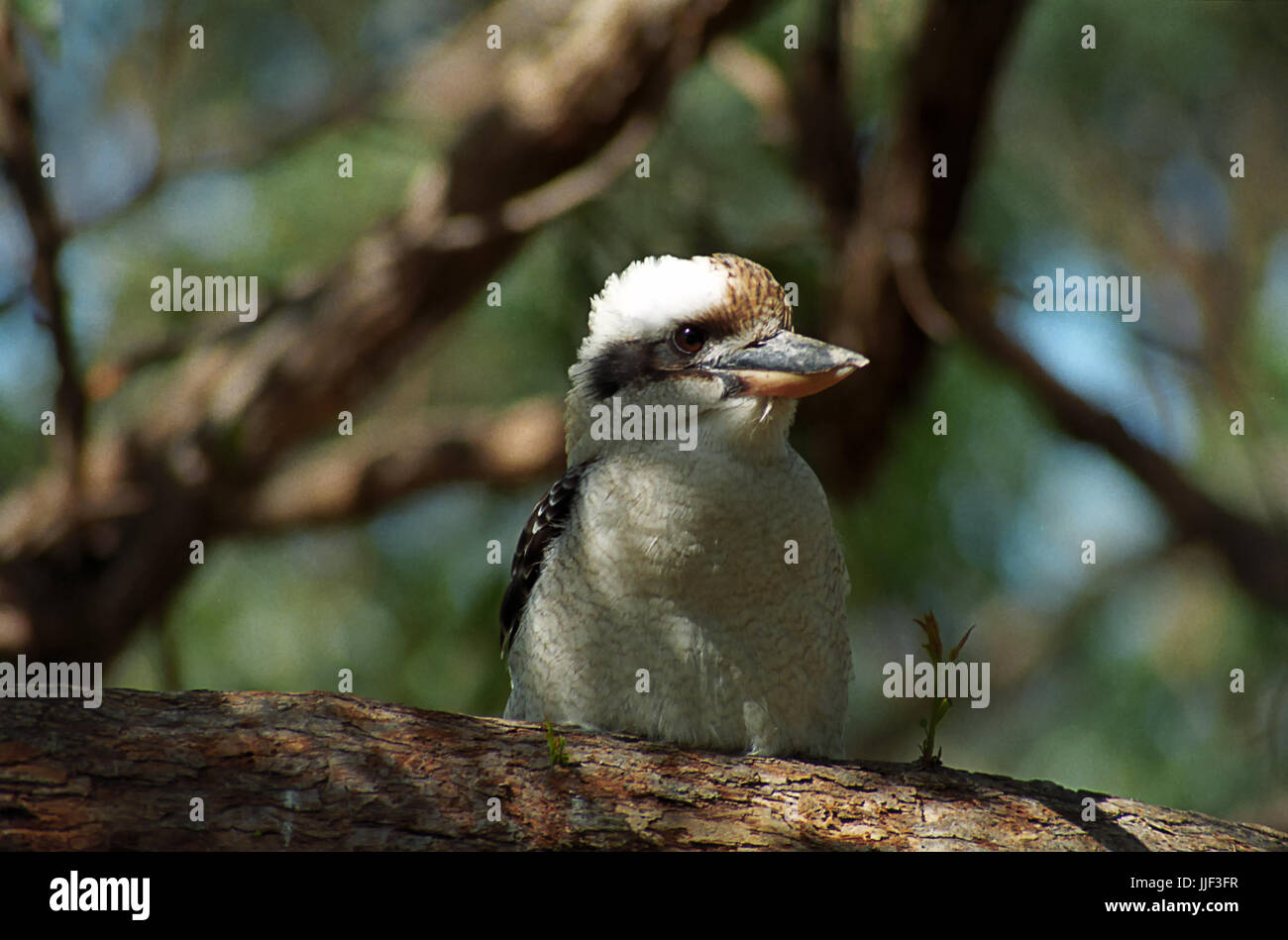 Smiths creek road hi-res stock photography and images - Alamy