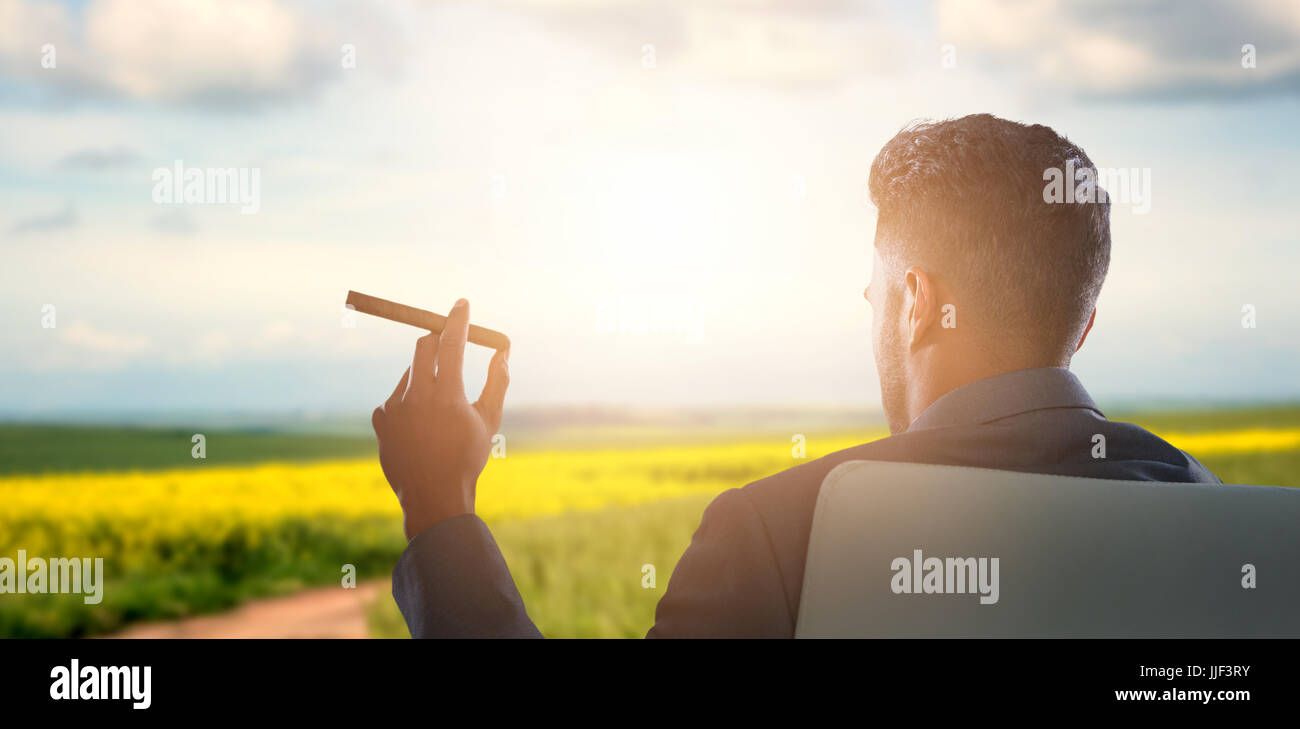 Rear view of businessman holding cigar against scenic view of empty ...