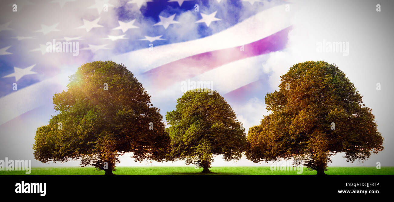 Waving flag of America against trees in green field Stock Photo - Alamy